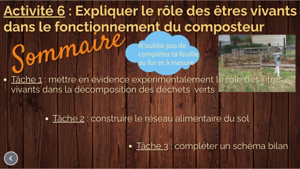 E2 - Activité 4 : expliquer le rôle des etres vi