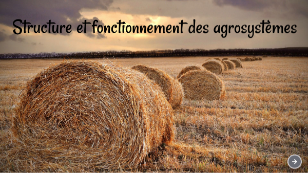 Structure et fonctionnement des agrosystèmes