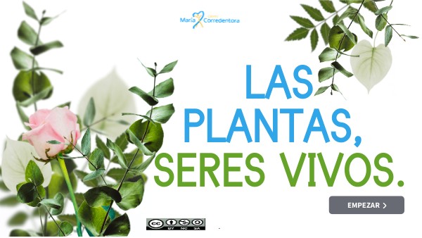 PRESENTACIÓN PLANTAS