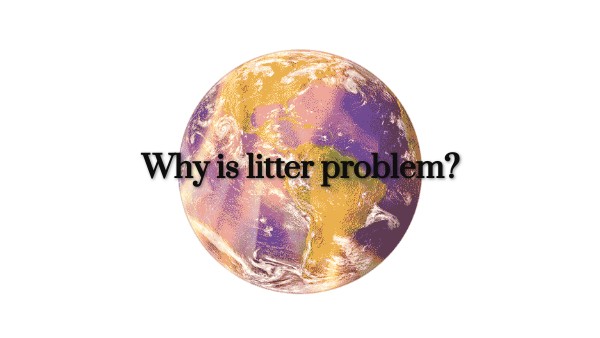 Litter is a problem