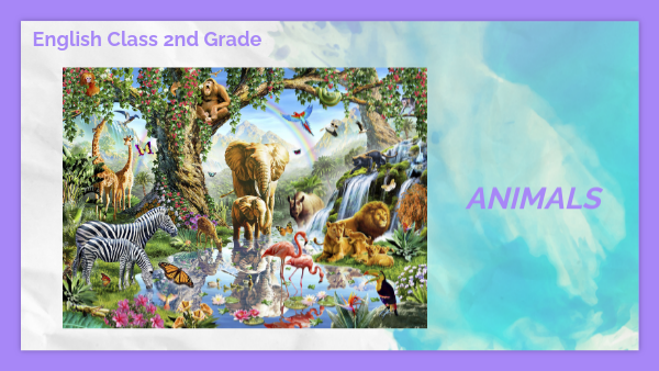 Animals 1 - 2nd grade