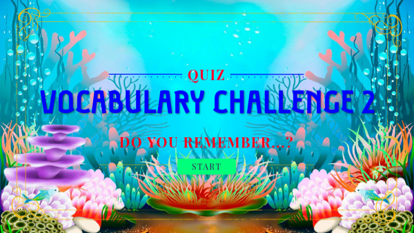 vocabulary challenge 2 copia