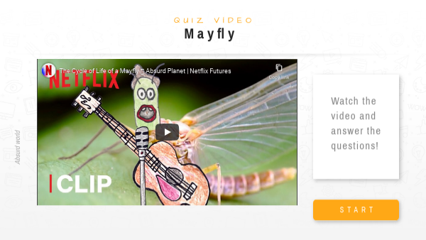 Mayfly