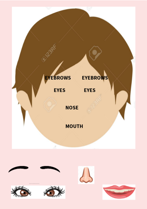 Exploring the parts of the face | Genially
