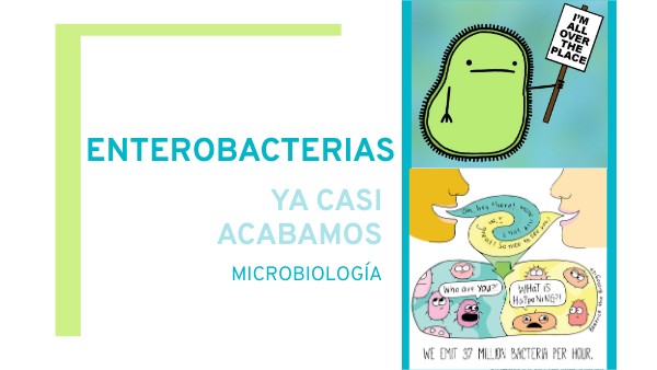 Introducción a enterobacterias | Genially