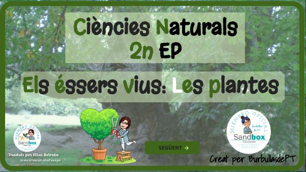 Adaptat - Les plantes CAT | Genially