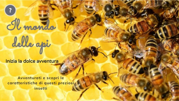 IL MONDO DELLE API | Genially