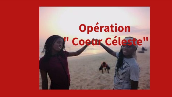 Copie - BASIC PRESENTATION | Genially