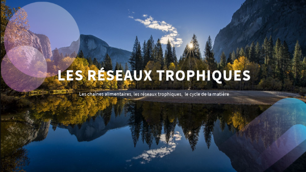 Chaines alimentaires et réseaux trophiques | Genially