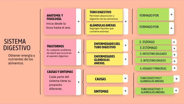 CUADRO SINÓPTICO SISTEMA DIGESTIVO | Genially