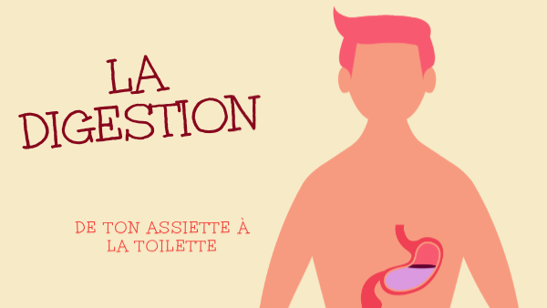 Sec 3 : La digestion | Genially