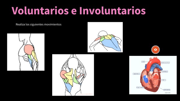 Movimientos voluntarios e involuntarios y cuidados | Genially