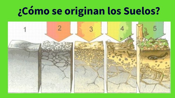 como se forman los suelos | Genially