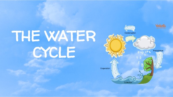 Water cycle | Genially