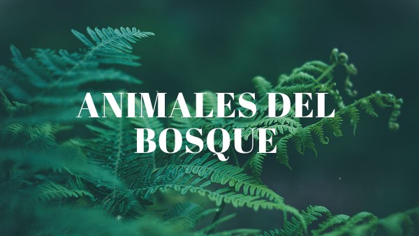 ANIMALES DEL BOSQUE | Genially