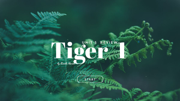 Tiger1 Unit 5 review | Genially