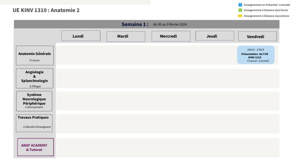 KINV 1310 : Anatomie 2 | Genially