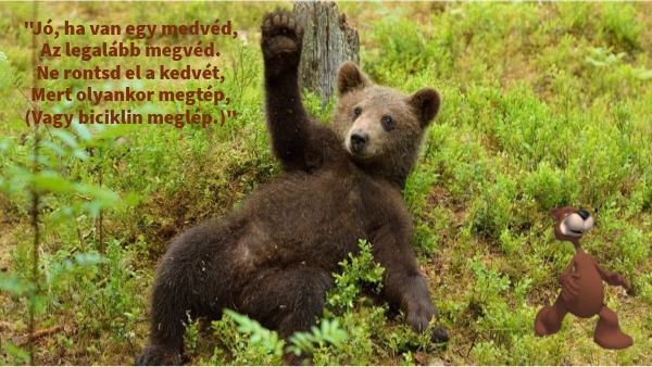 SM: Medve - nap 3.o. | Genially