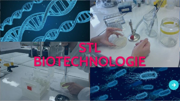 Présentation STL Biotechno