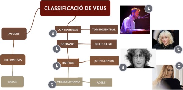 classificació de veus