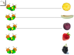 MOTRICIDAD FINA ORUGA