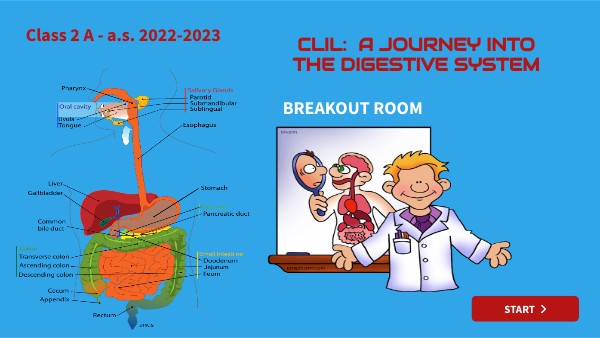 A JOURNEY INTO THE DIGESTIVE SYSTEM v2.0 | Genially