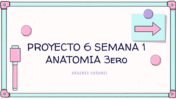 PROYECTO 6 SEMANA 1 ANATOMIA 3ERO | Genially
