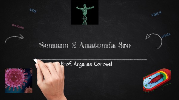 Semana 2 - 3ro Anatomía | Genially