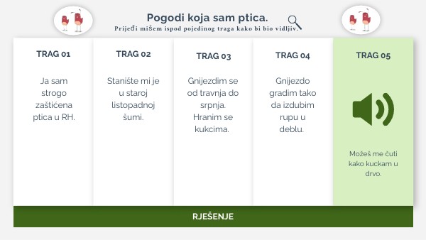 Ptičji izazov - "Tko sam ja?"