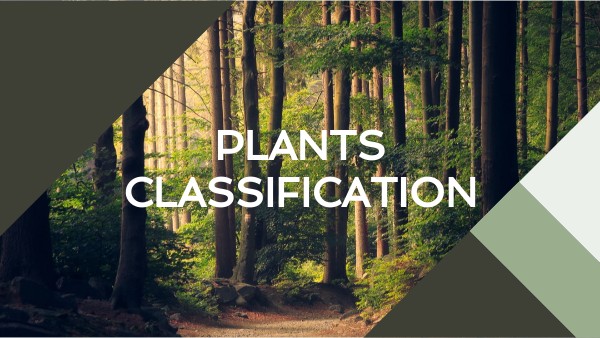 Plants classification