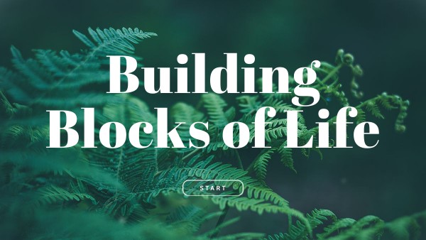 Building blocks of life | Genially