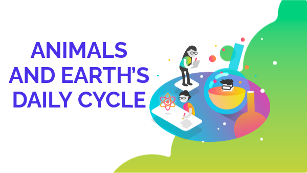 DIURNAL AND NOCTURNAL ANIMALS