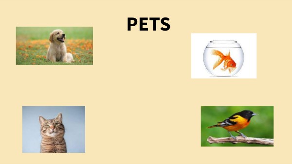 PETS K3