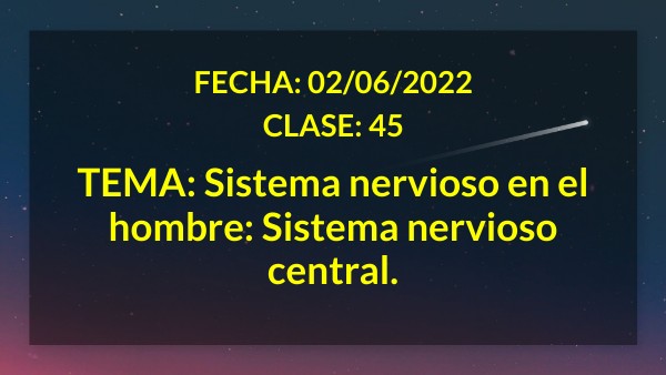 S. Nervioso Central - D | Genially