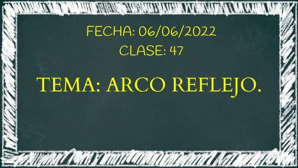 Arco reflejo. | Genially