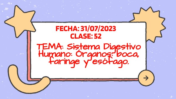 Sistema digestivo: Boca, faringe y esófago