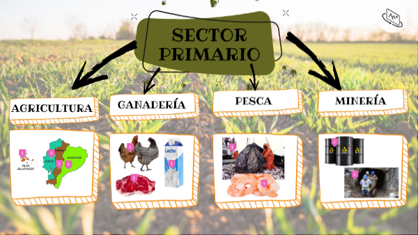 sector primario | Genially