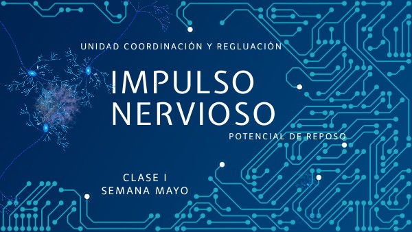 . IMPULSO NERVIOSO, POTENCIAL DE REPOSO | Genially