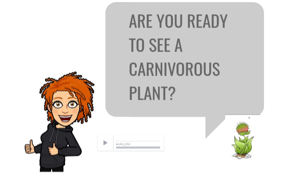 venus flytrap | Genially