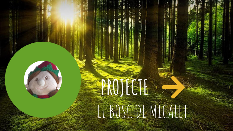 Projecte del bosc | Genially