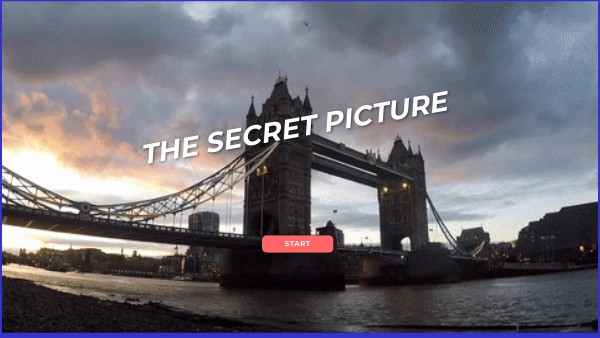 Secret Picture-Toys