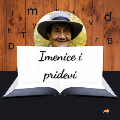 Srpski - letnji raspust