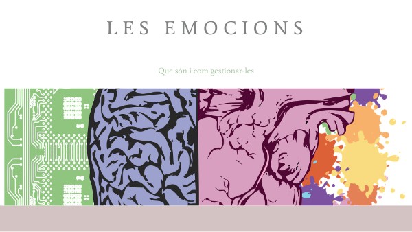 LES EMOCIONS