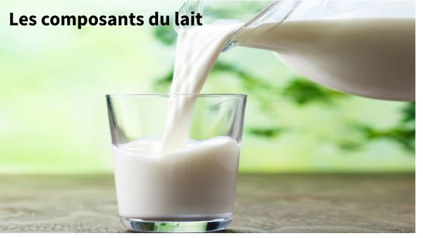 Lait Sciences et labo