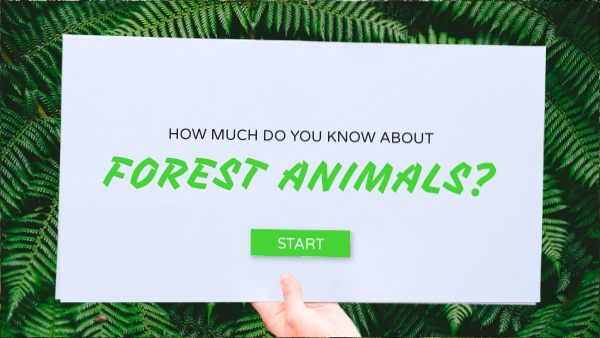 FOREST ANIMALS | Genially