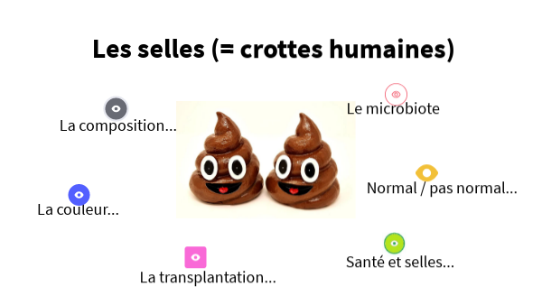 Les selles