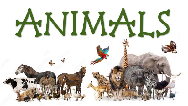 ANIMALS (project intro) | Genially