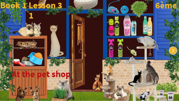 6ème B1 L3 At the pet shop | Genially
