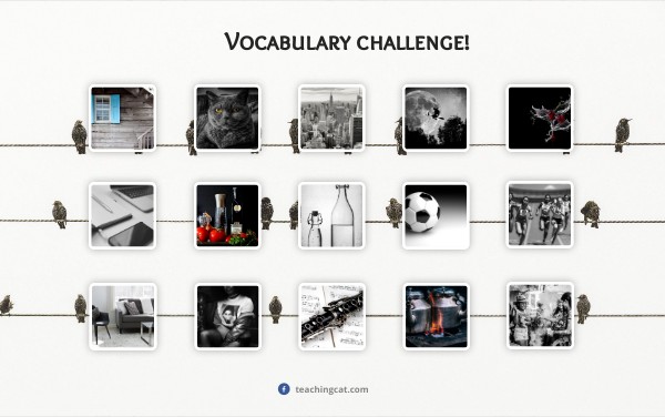 Vocabulary challenge!