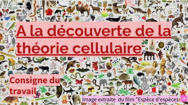 A la découverte de la théorie cellulaire